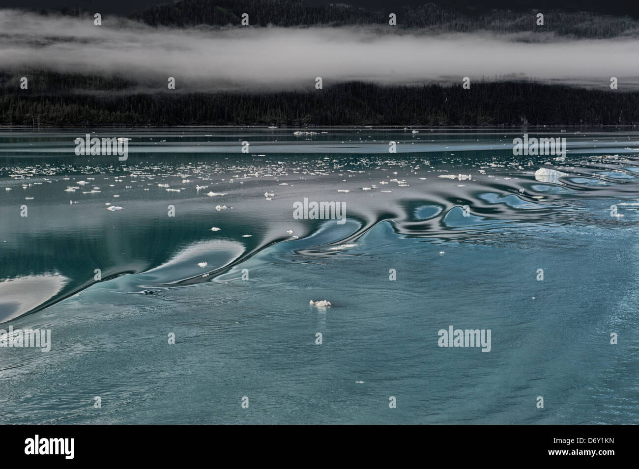 Seascape, the wake from a cruise ship with forest island in the ...