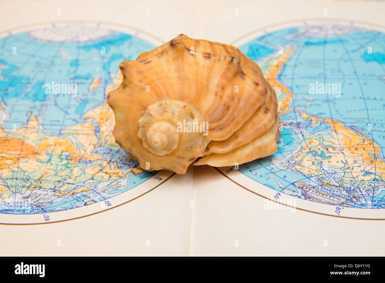 Sea shell over world map close up. Travel concept Stock Photo - Alamy