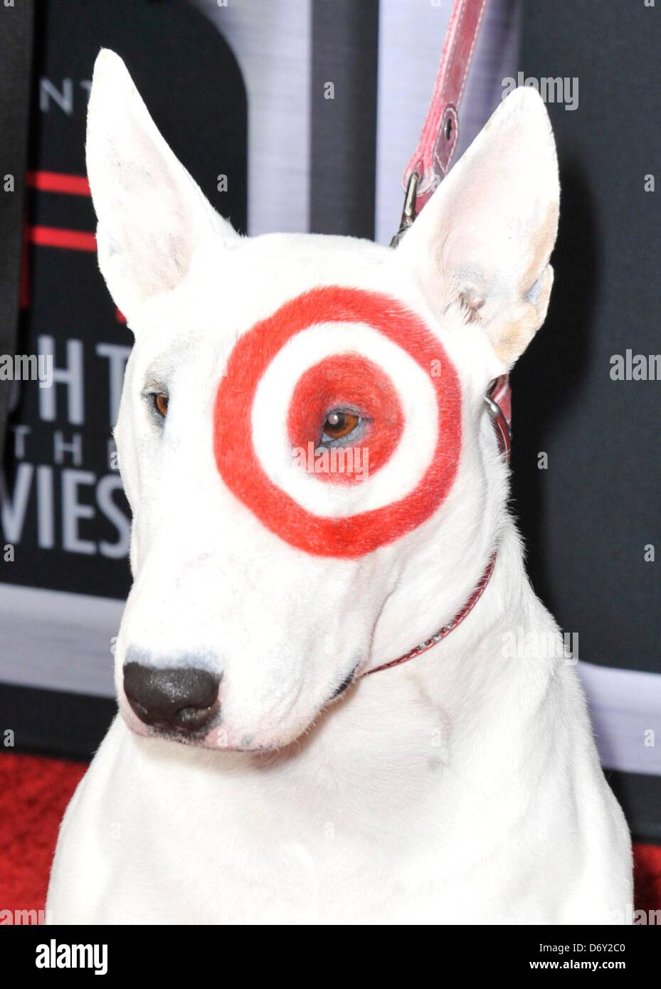 Los Angeles, USA. 24th April, 2013. Target The Dog at arrivals for ...