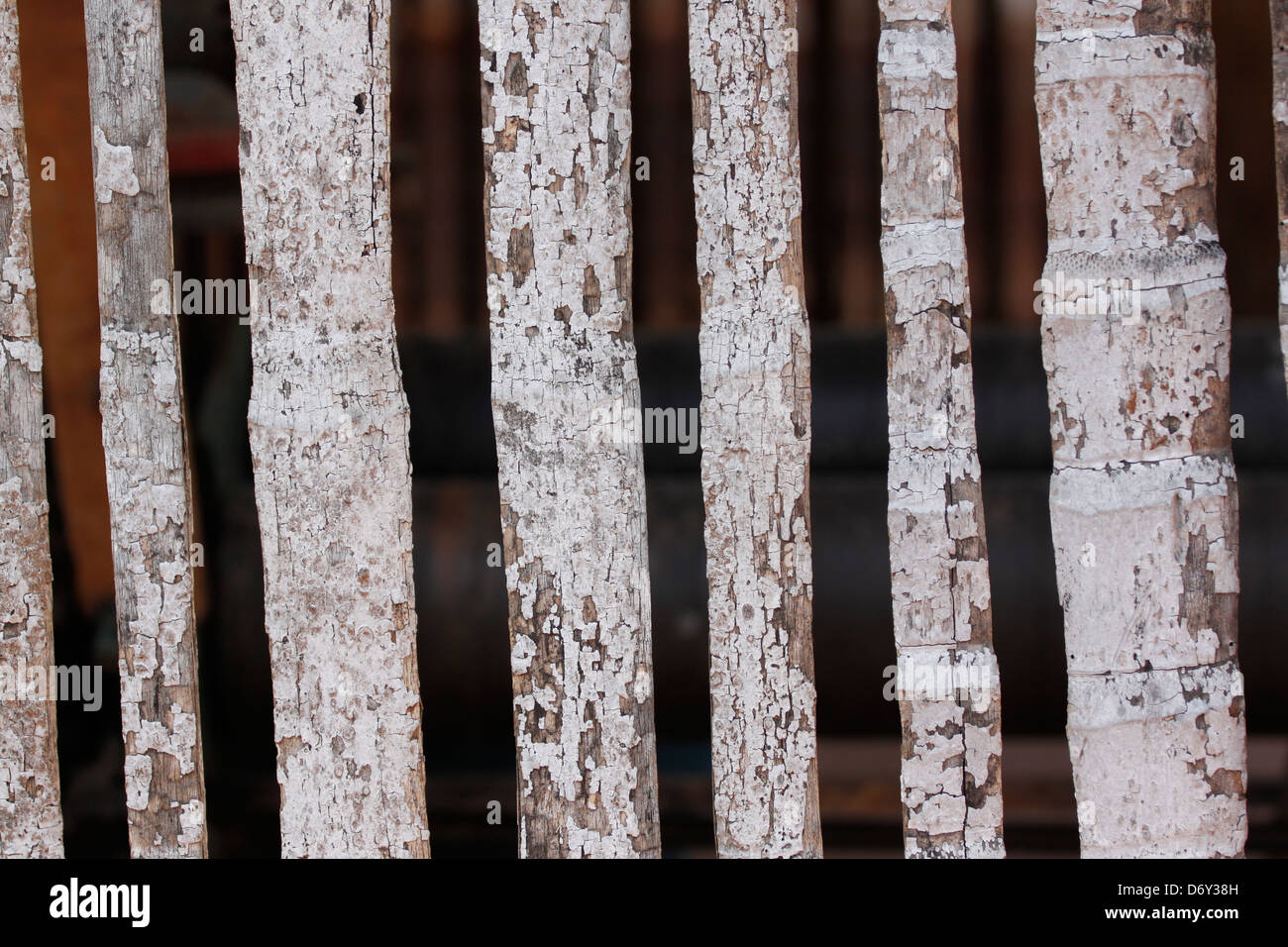 Coconut tree bark.It was used to make fences Stock Photo - Alamy