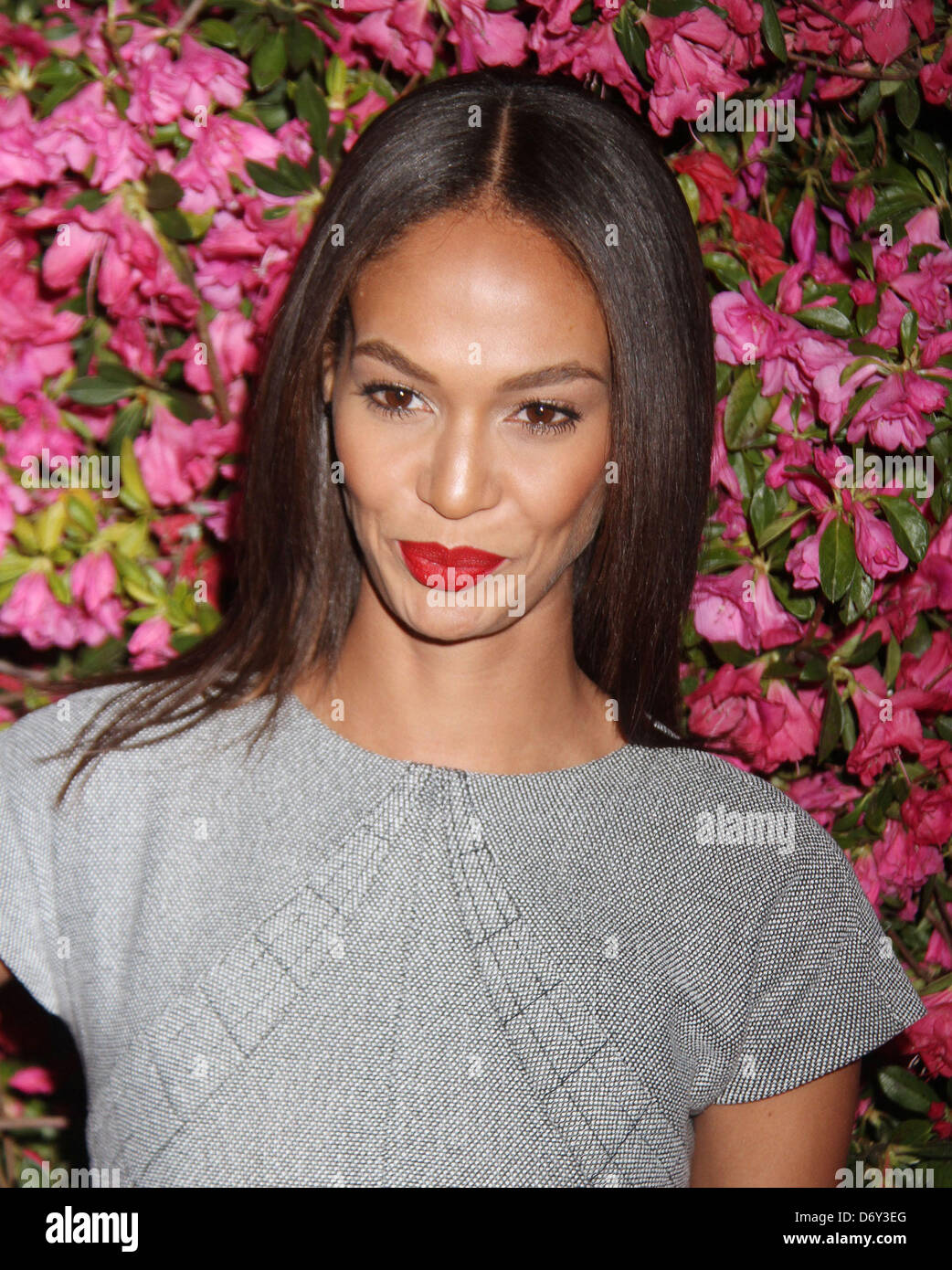 New York, New York, USA. 24th April, 2013. Model JOAN SMALLS attends ...
