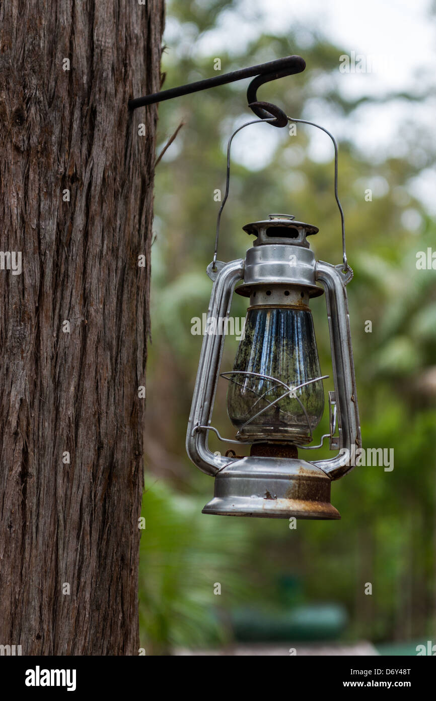 Lanterns Hanging From Trees