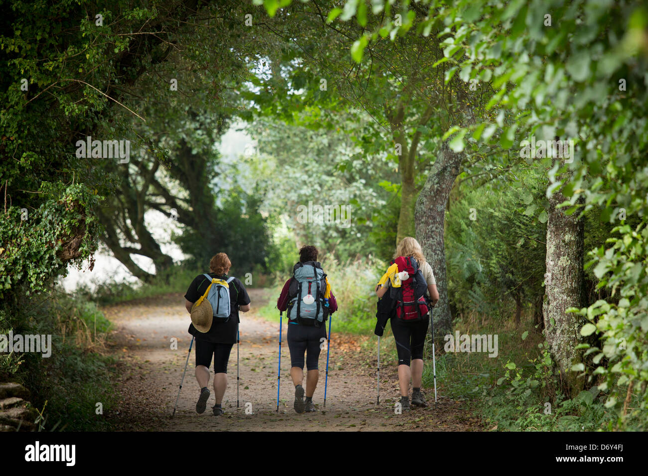 Pilgrim group with shells on rucksacks on the Camino de Santiago ...