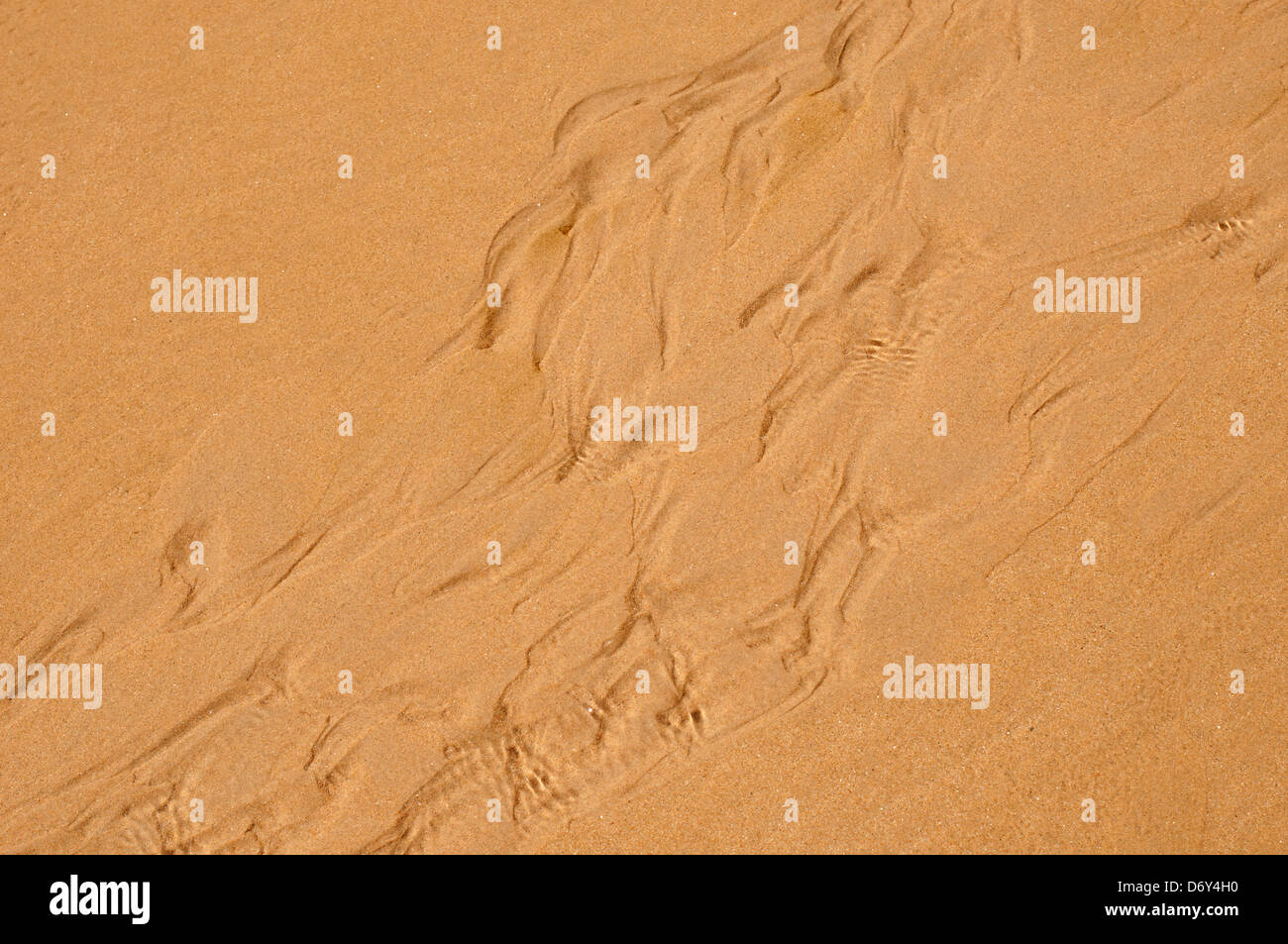Coral Sea beach pattern Stock Photo - Alamy