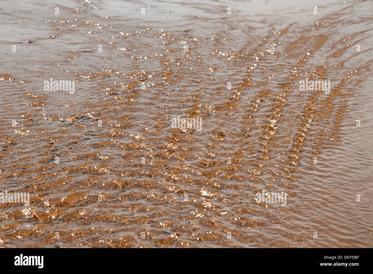 Coral Sea beach pattern Stock Photo - Alamy