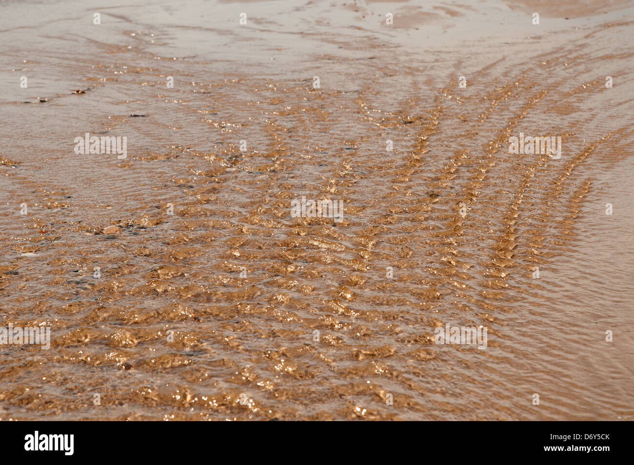 Coral Sea beach pattern Stock Photo - Alamy
