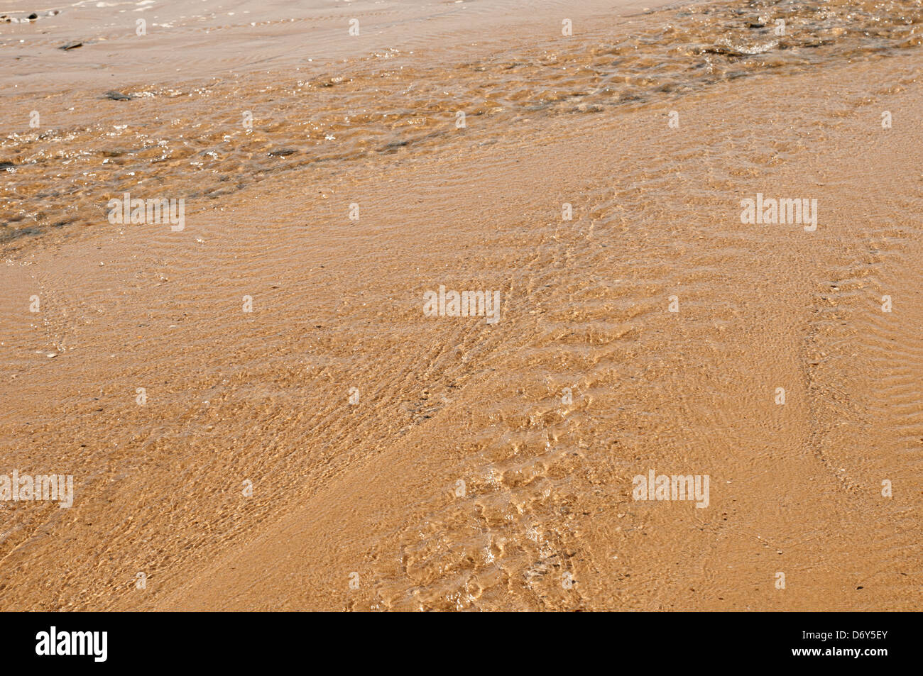 Coral Sea beach pattern Stock Photo - Alamy