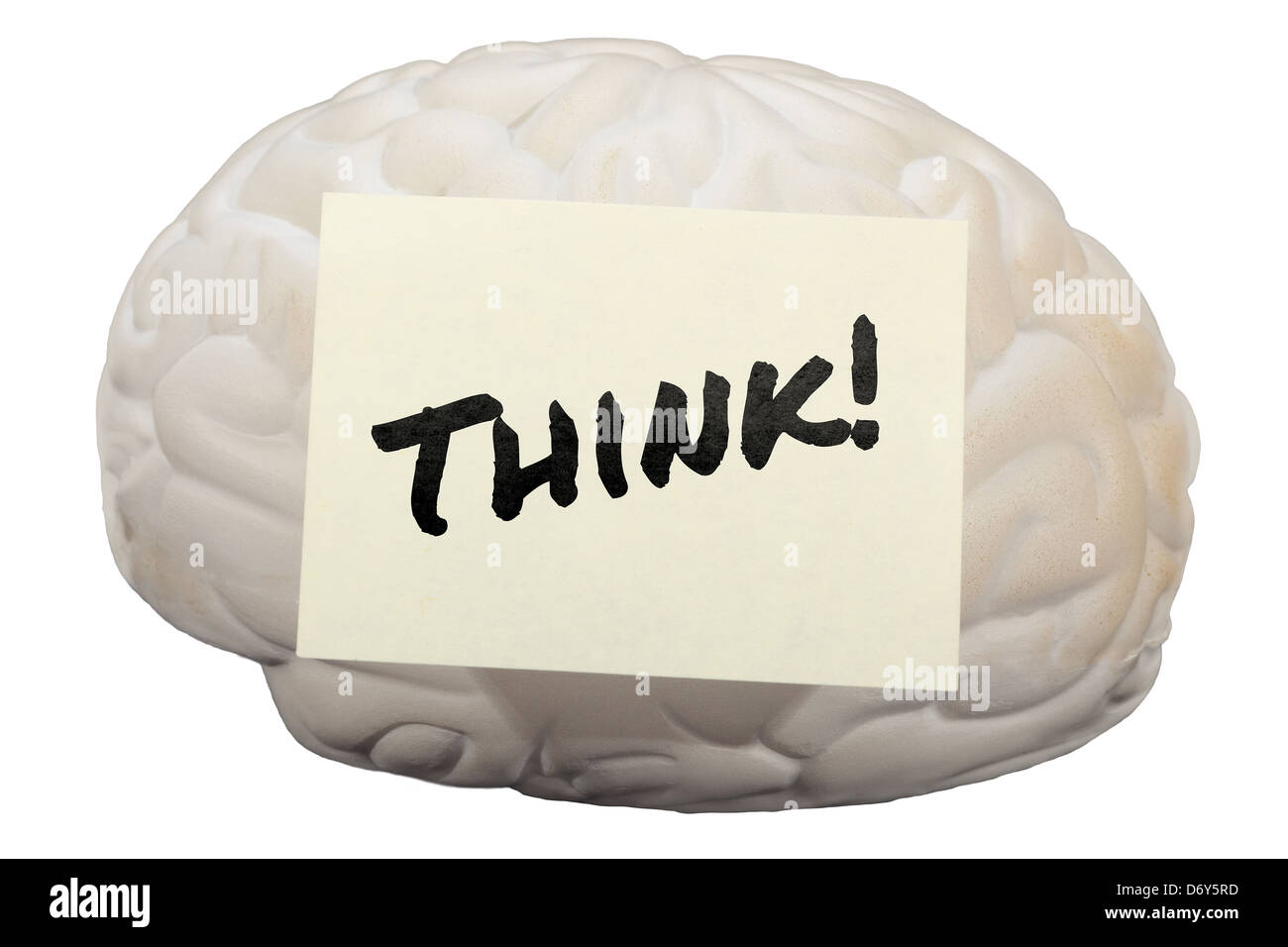 Post-it note with the word Think! on model of human brain Stock Photo ...