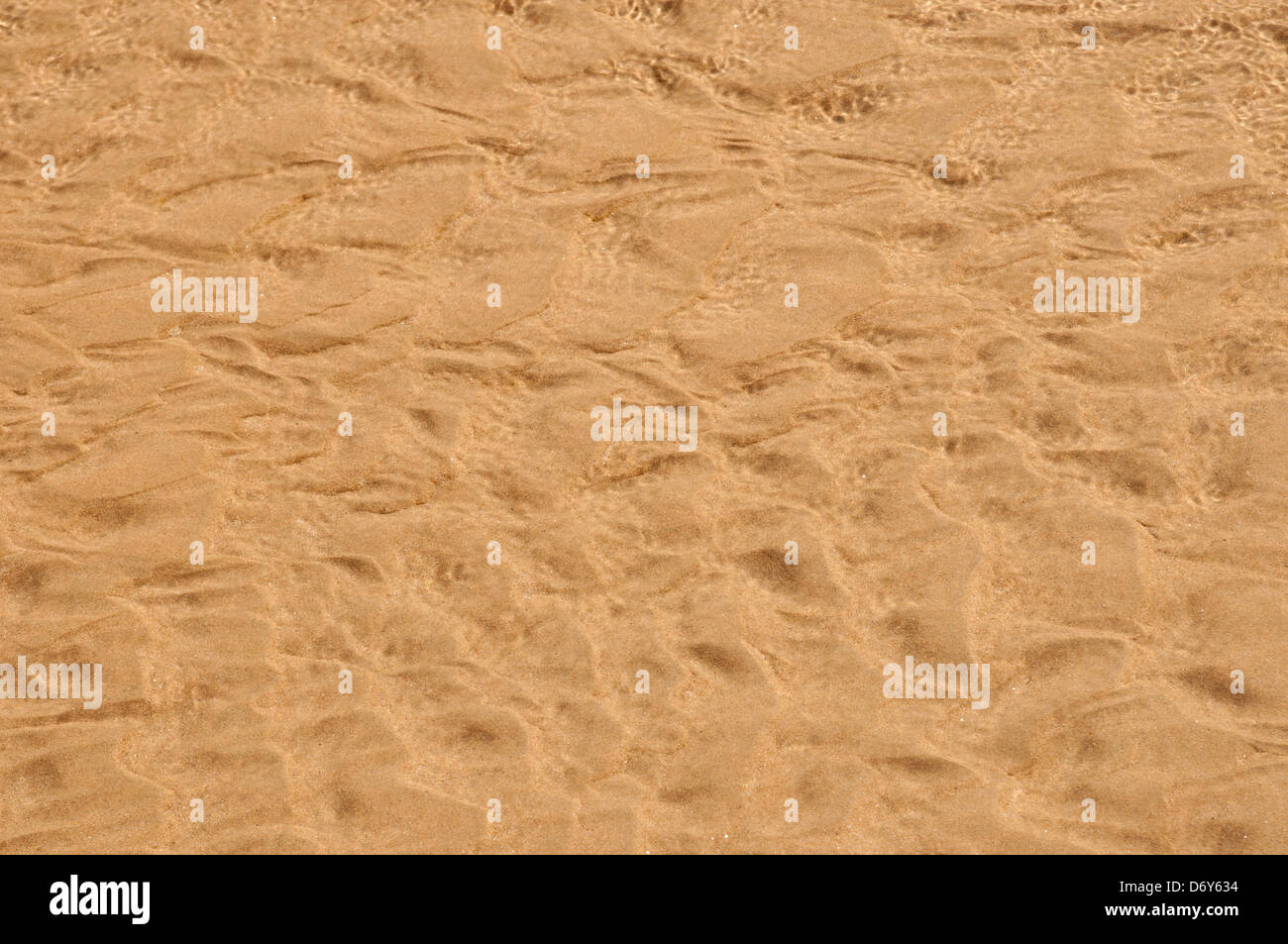 Coral Sea beach pattern Stock Photo - Alamy