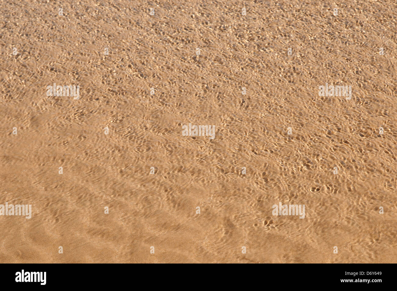Coral Sea beach pattern Stock Photo - Alamy