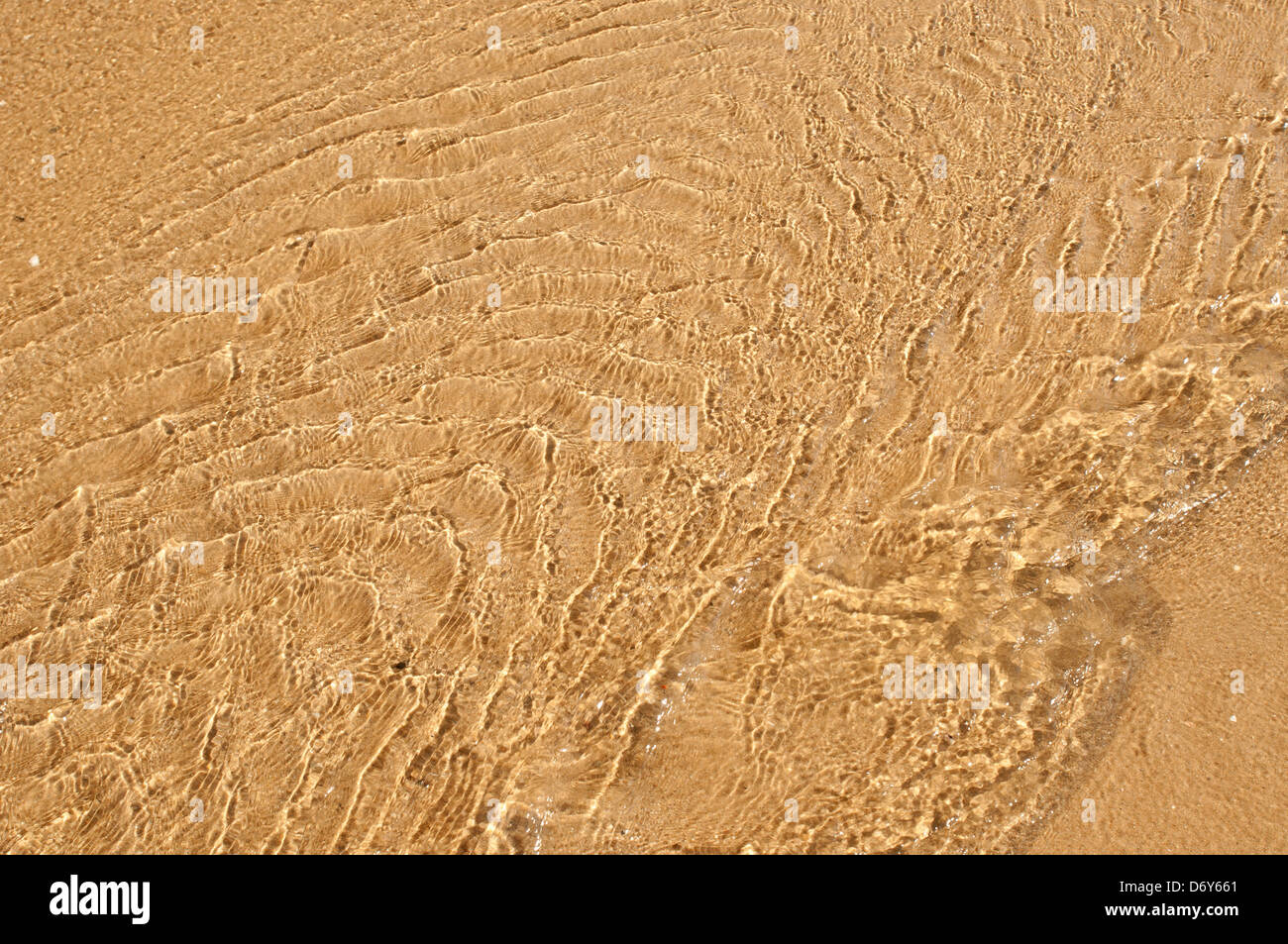 Coral Sea beach pattern Stock Photo - Alamy