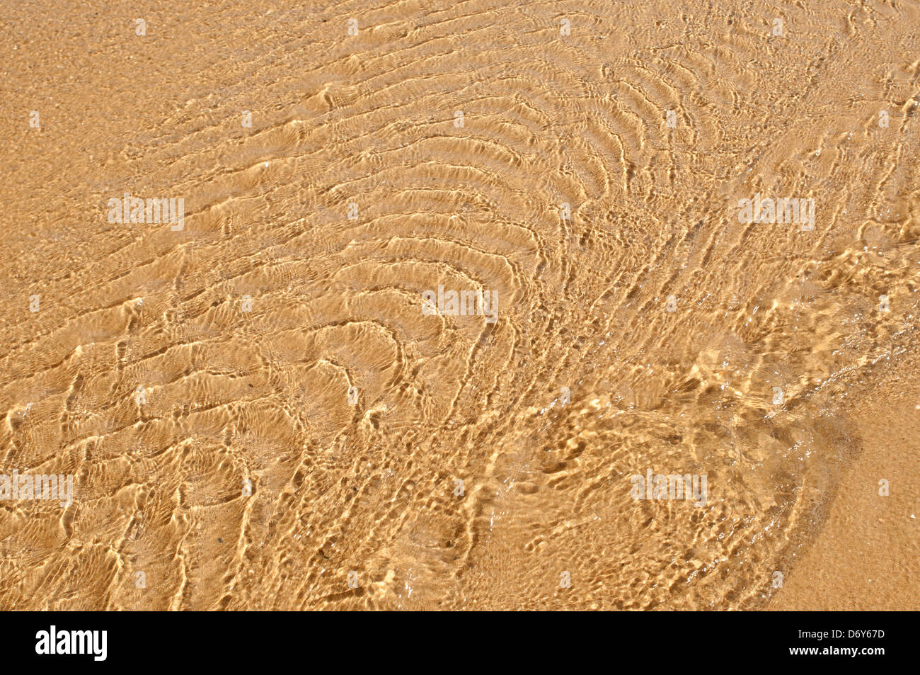 Coral Sea beach pattern Stock Photo - Alamy