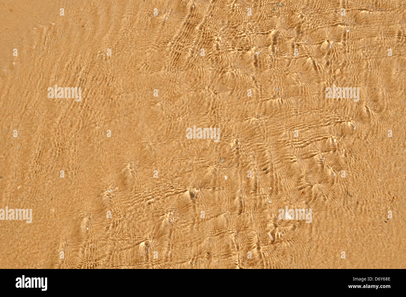 Coral Sea beach pattern Stock Photo - Alamy