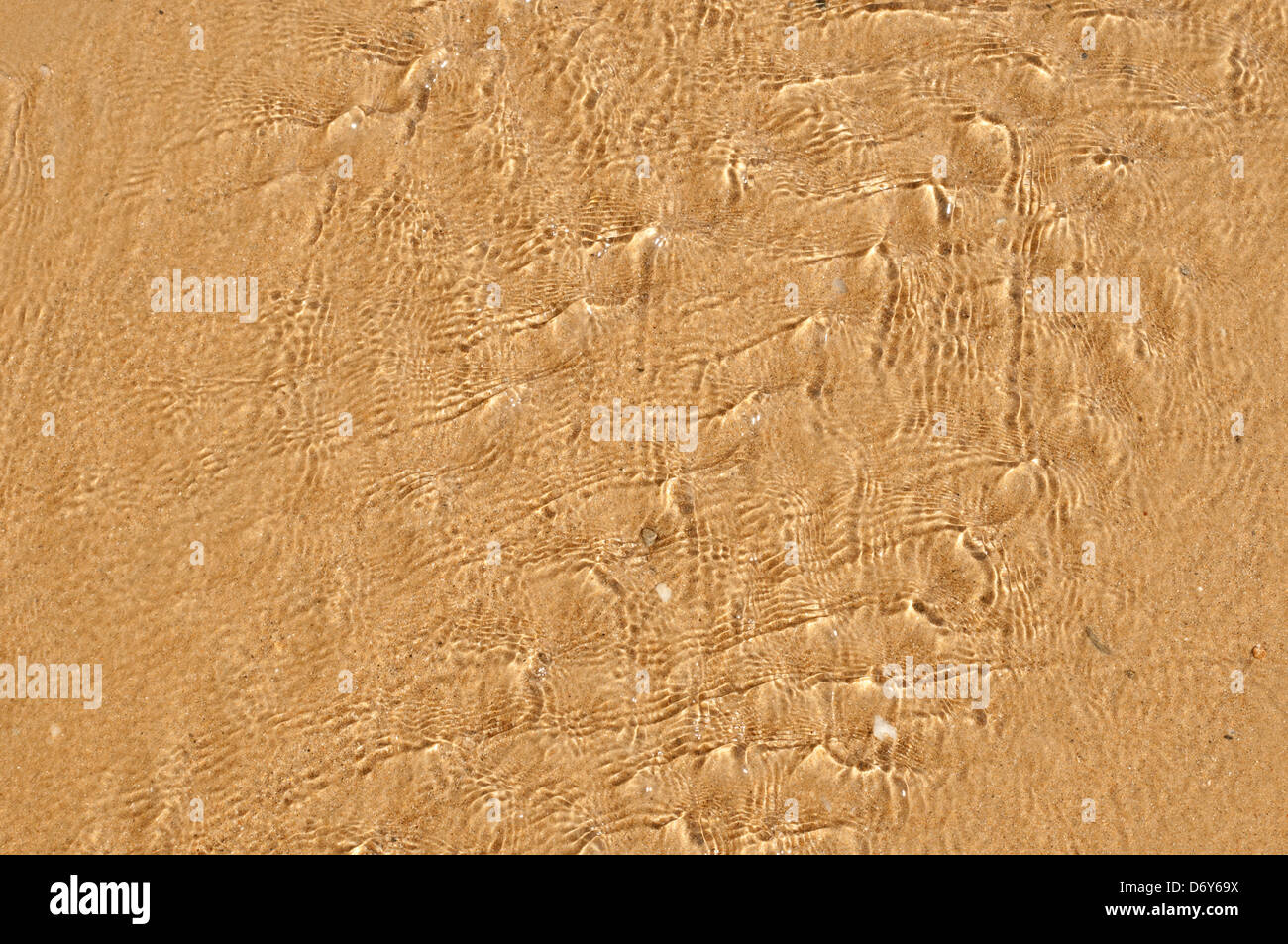 Coral Sea beach pattern Stock Photo - Alamy