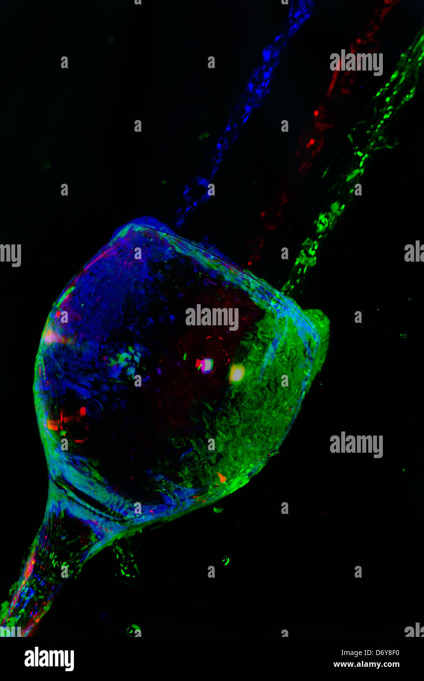 Harris shutter effect of a glass and water Stock Photo - Alamy
