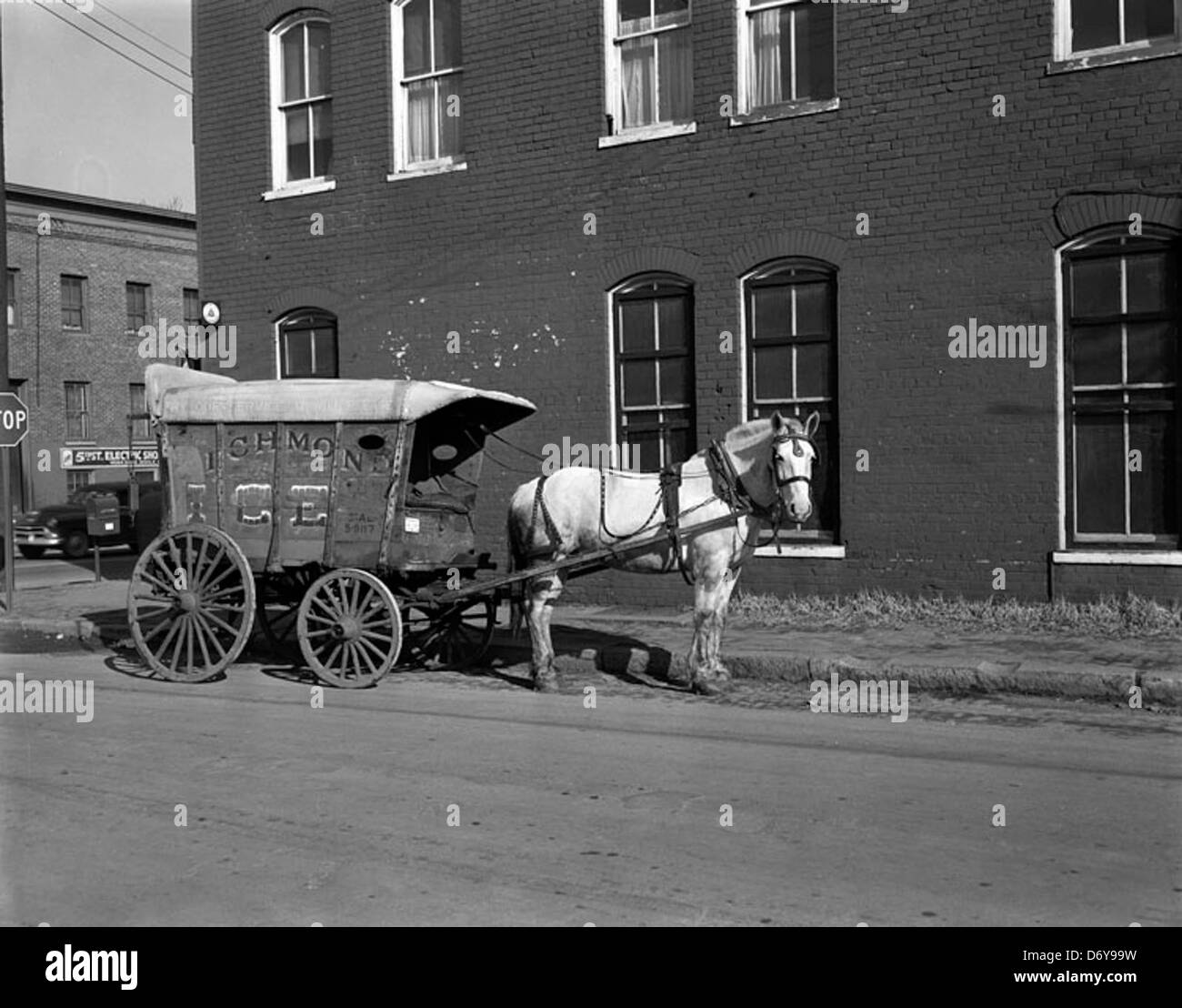 Ice wagon horse hi-res stock photography and images - Alamy