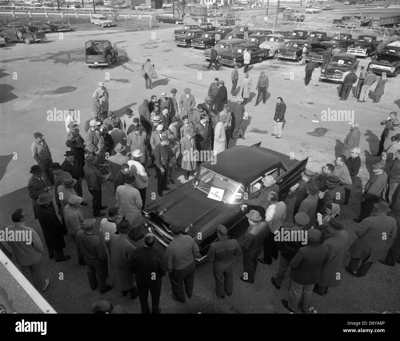 Auction crowd Black and White Stock Photos & Images - Alamy