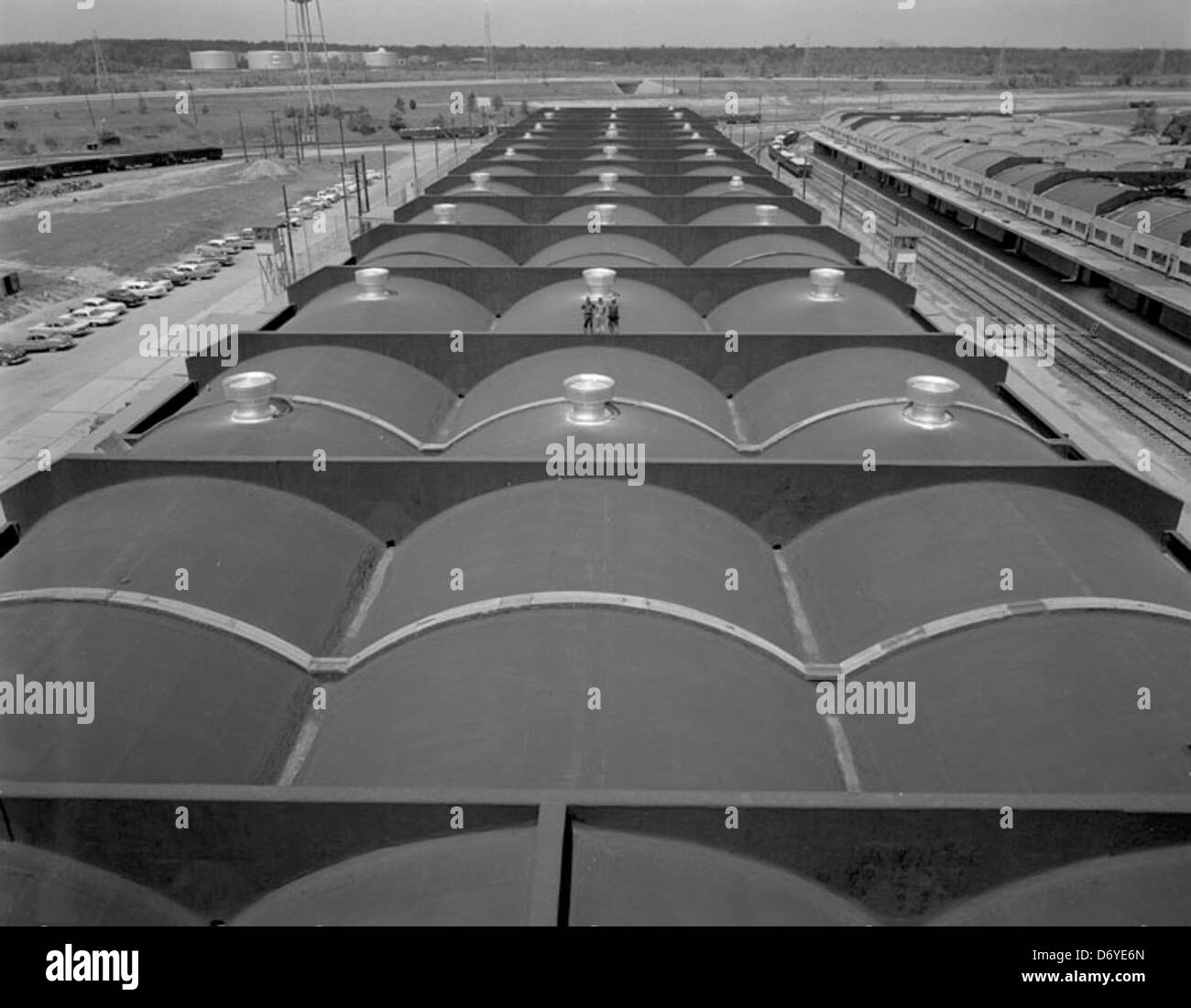 Deepwater rice hi-res stock photography and images - Alamy