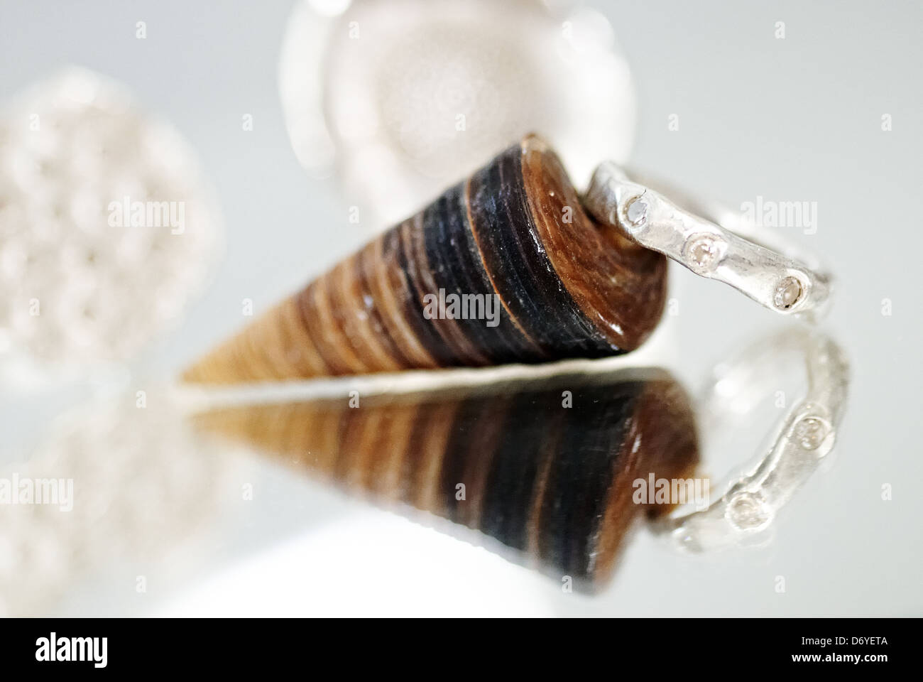 Conical Shell High Resolution Stock Photography and Images - Alamy