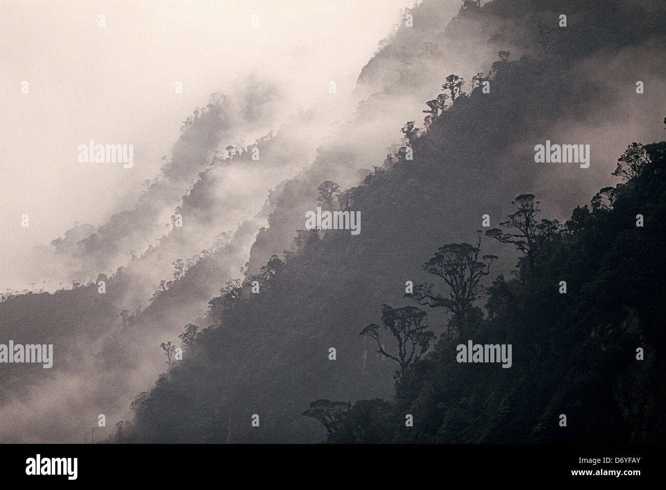 Maoke mountains hi-res stock photography and images - Alamy