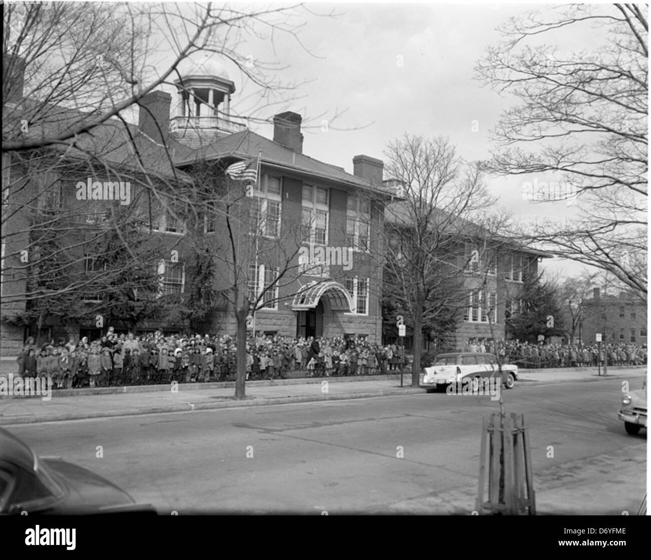 Virginia fox hi-res stock photography and images - Alamy