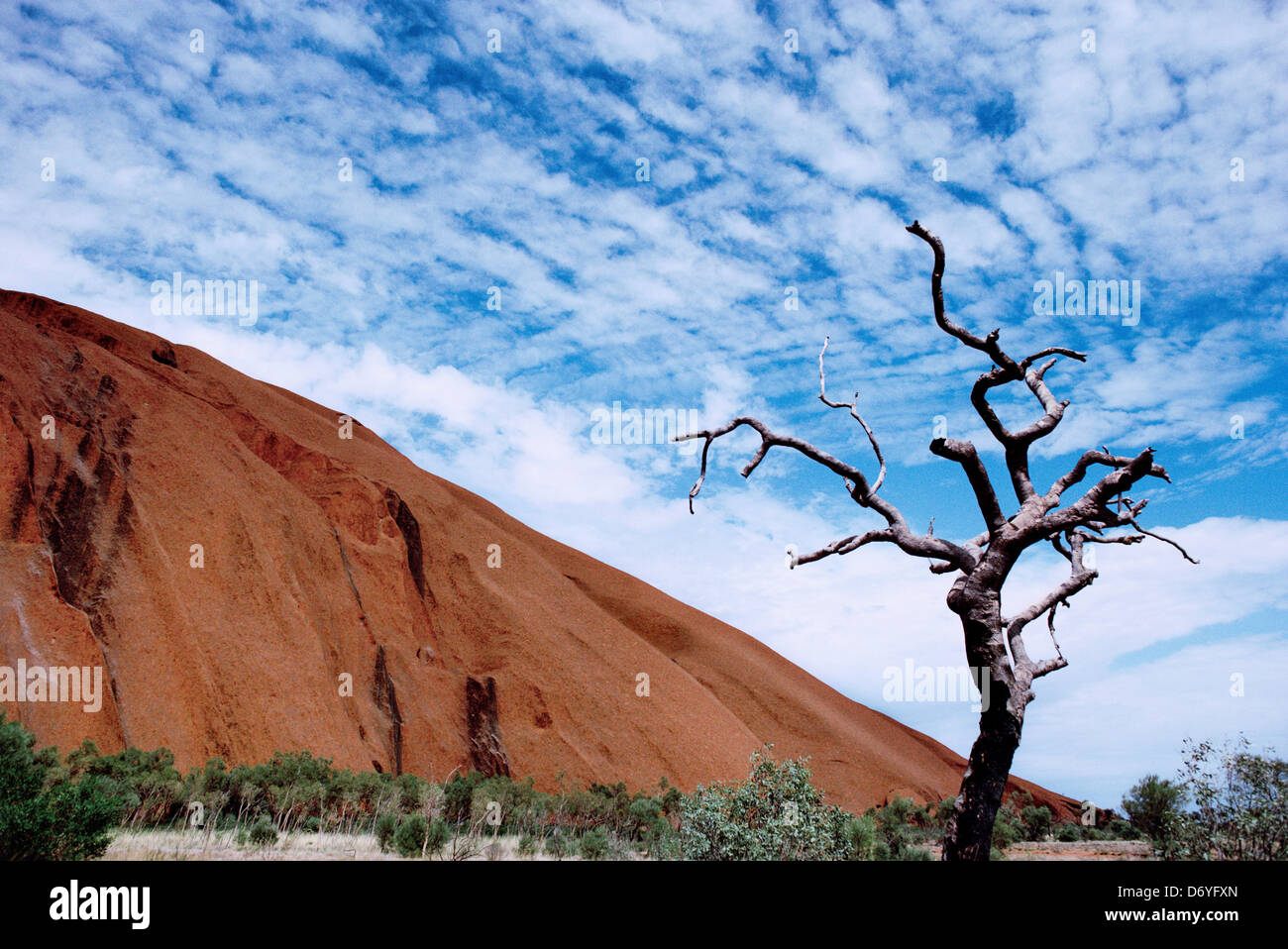 Sandstone rock formations, Uluru, Uluru-Kata Tjuta National Park ...