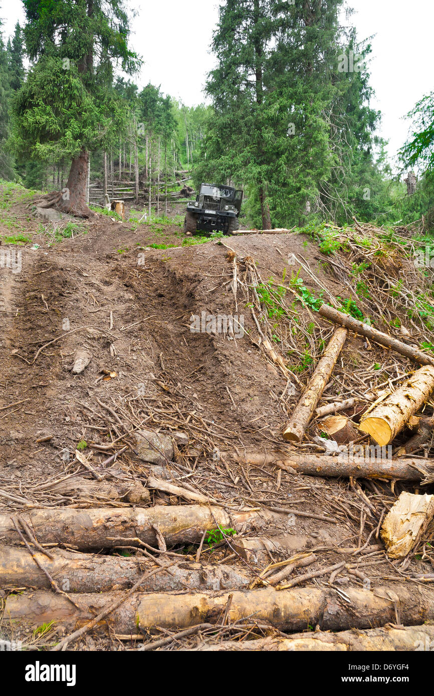 Felling tree hi-res stock photography and images - Alamy