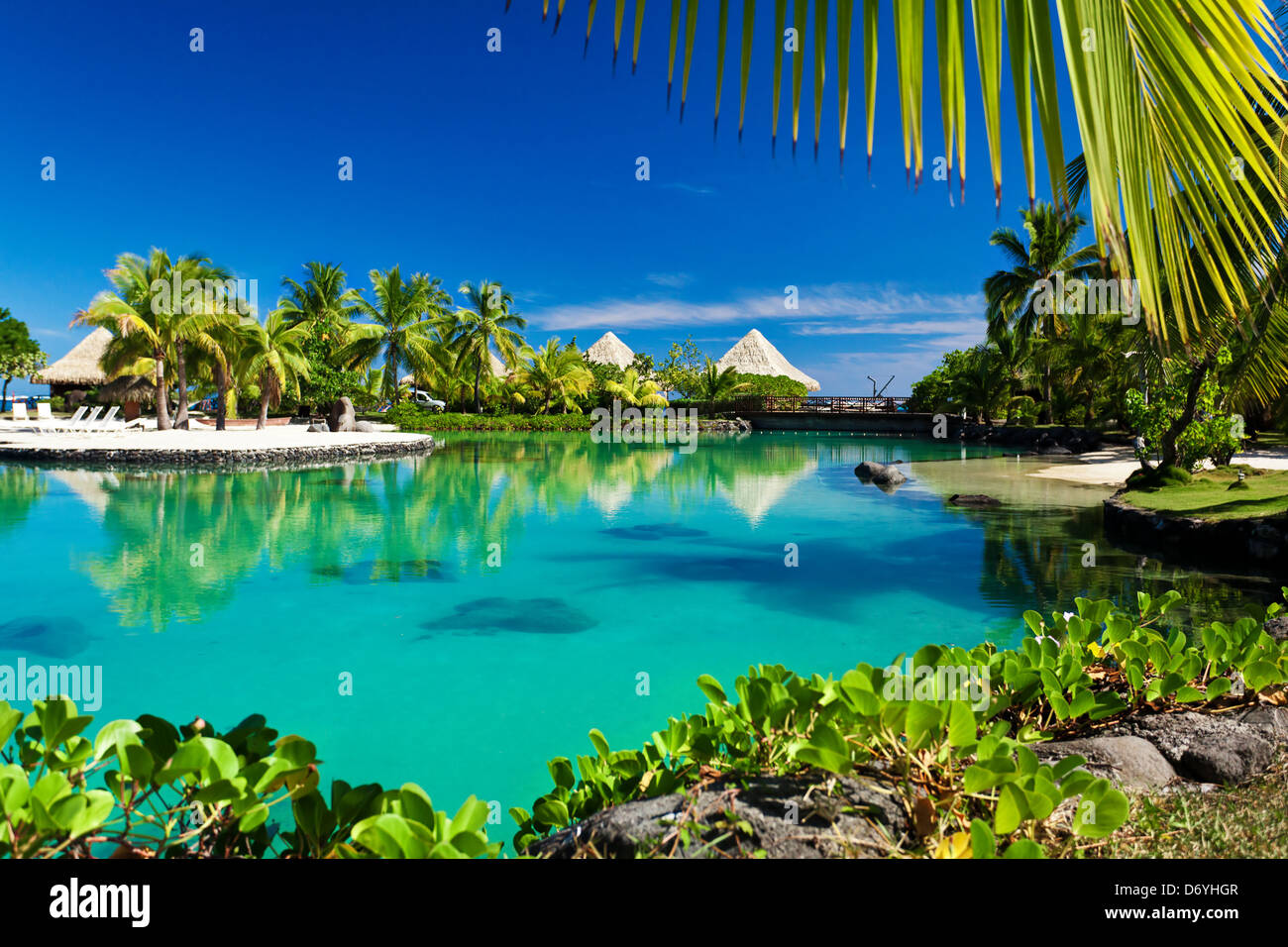 Tropical resort with a green lagoon and many palm trees Stock Photo - Alamy