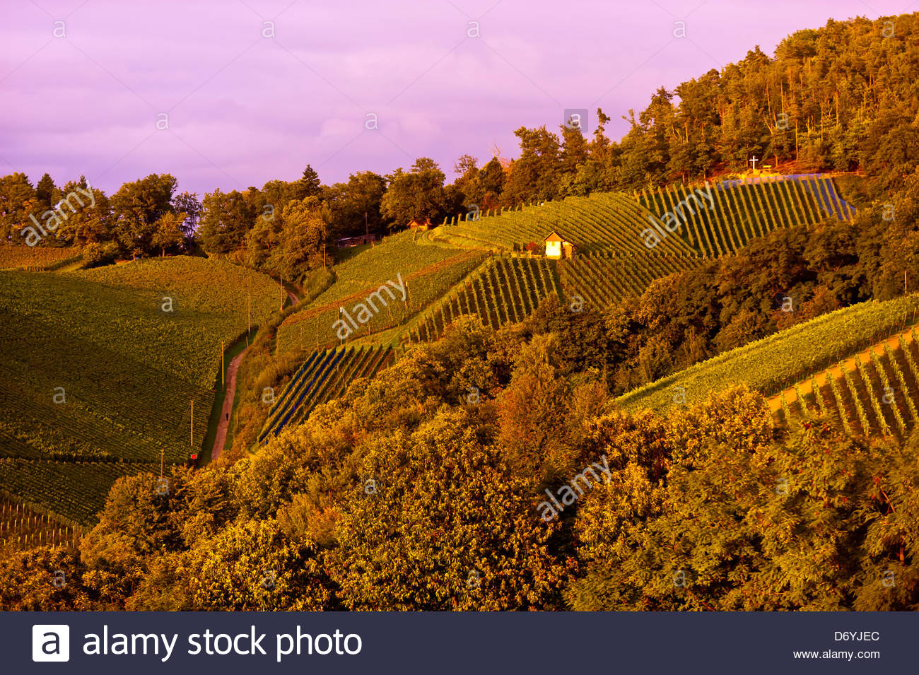 Kinzig Valley Stock Photos & Kinzig Valley Stock Images - Alamy