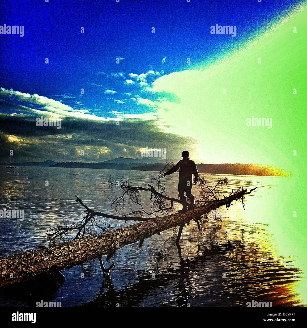 Man balancing on log over lake, Duncan, British Columbia, Canada Stock ...