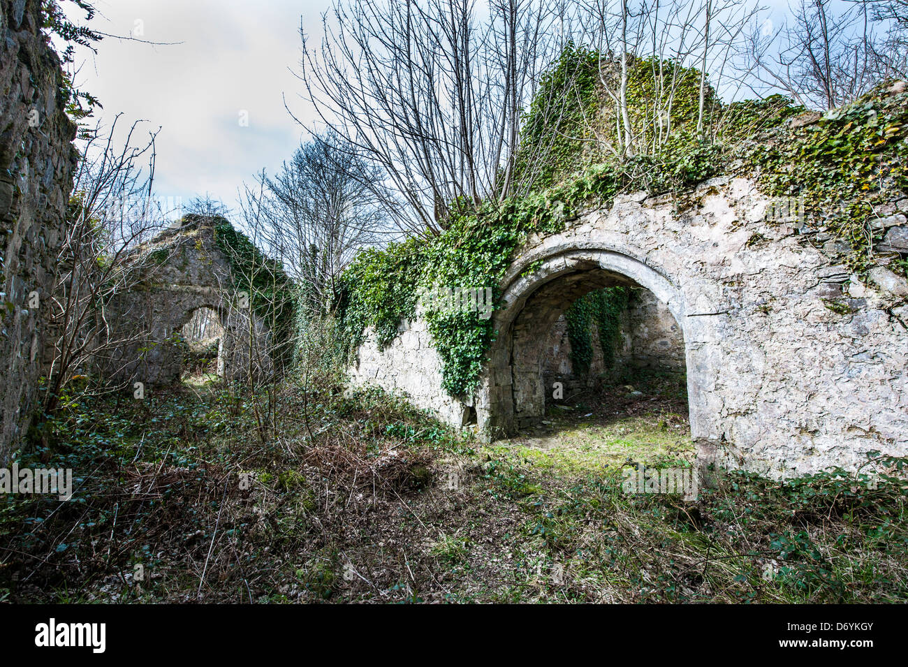 Inside the church ruin nature has taken over Stock Photo - Alamy