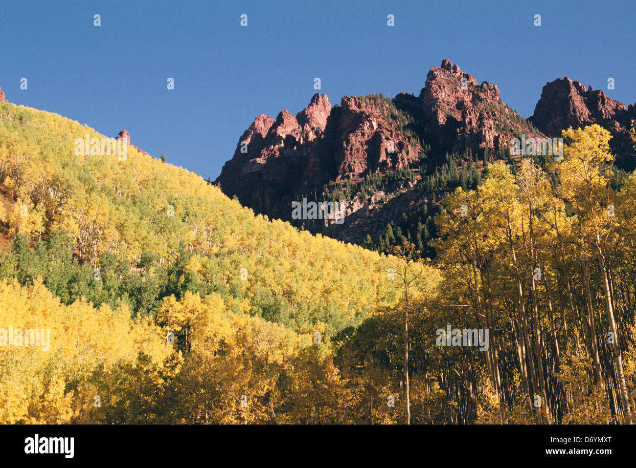 Forest and mountainous landscape, Colorado, USA Stock Photo - Alamy