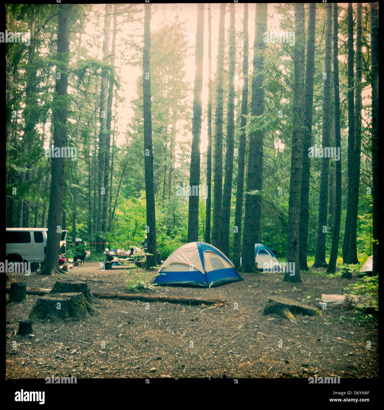 Forest campsite truck tent hi-res stock photography and images - Alamy