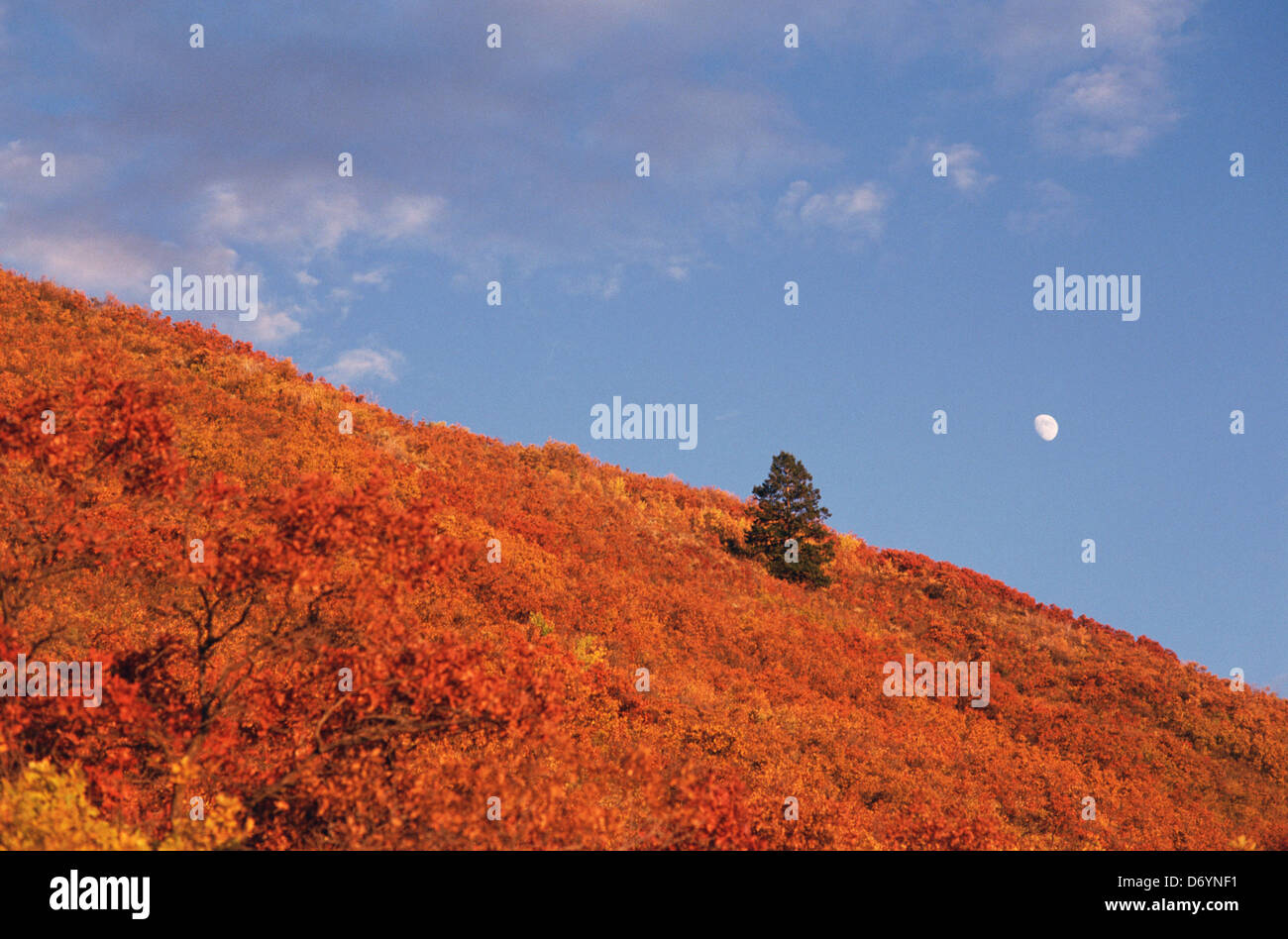 Moon on landscape hi-res stock photography and images - Alamy