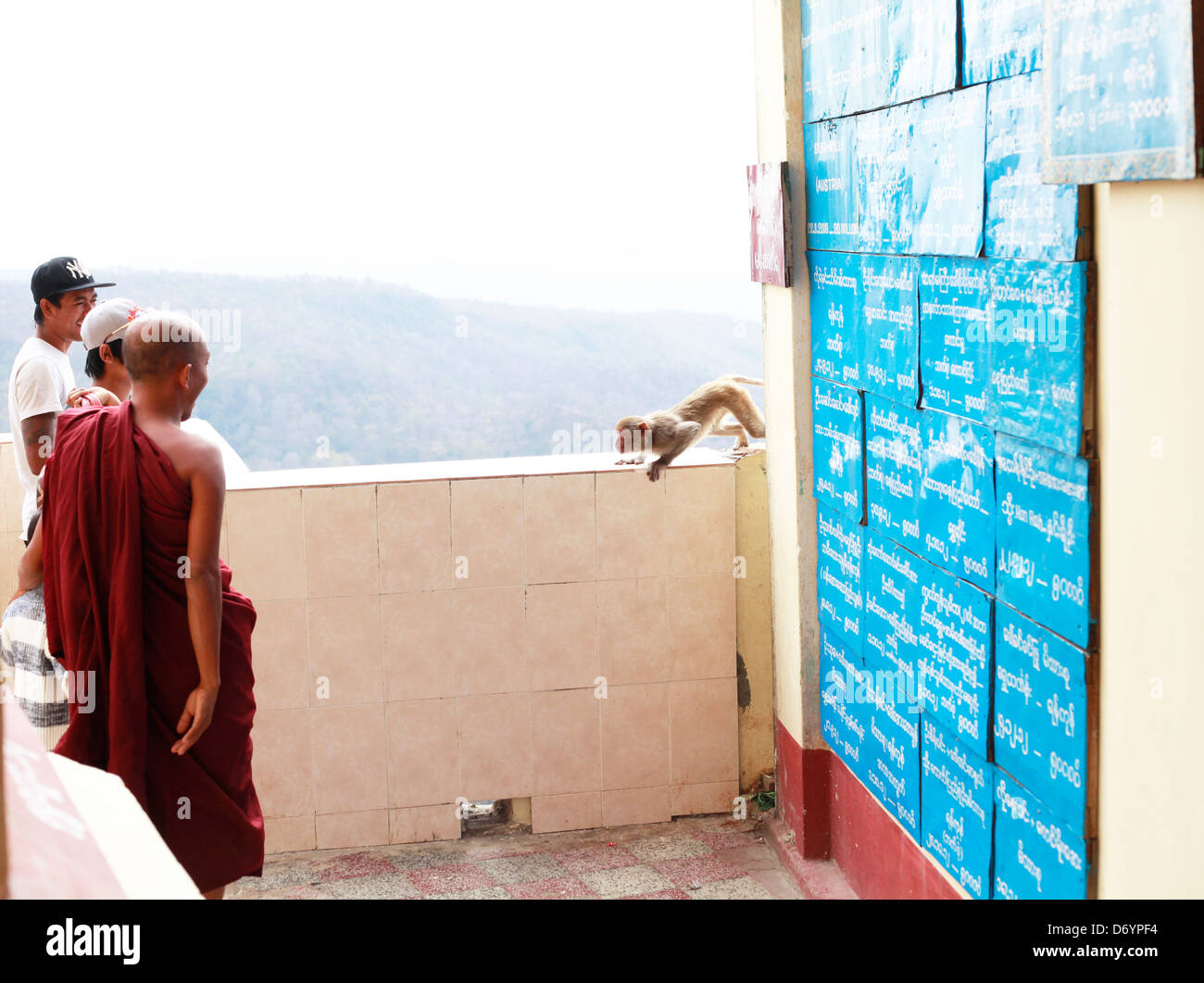 Angry monkey hi-res stock photography and images - Alamy