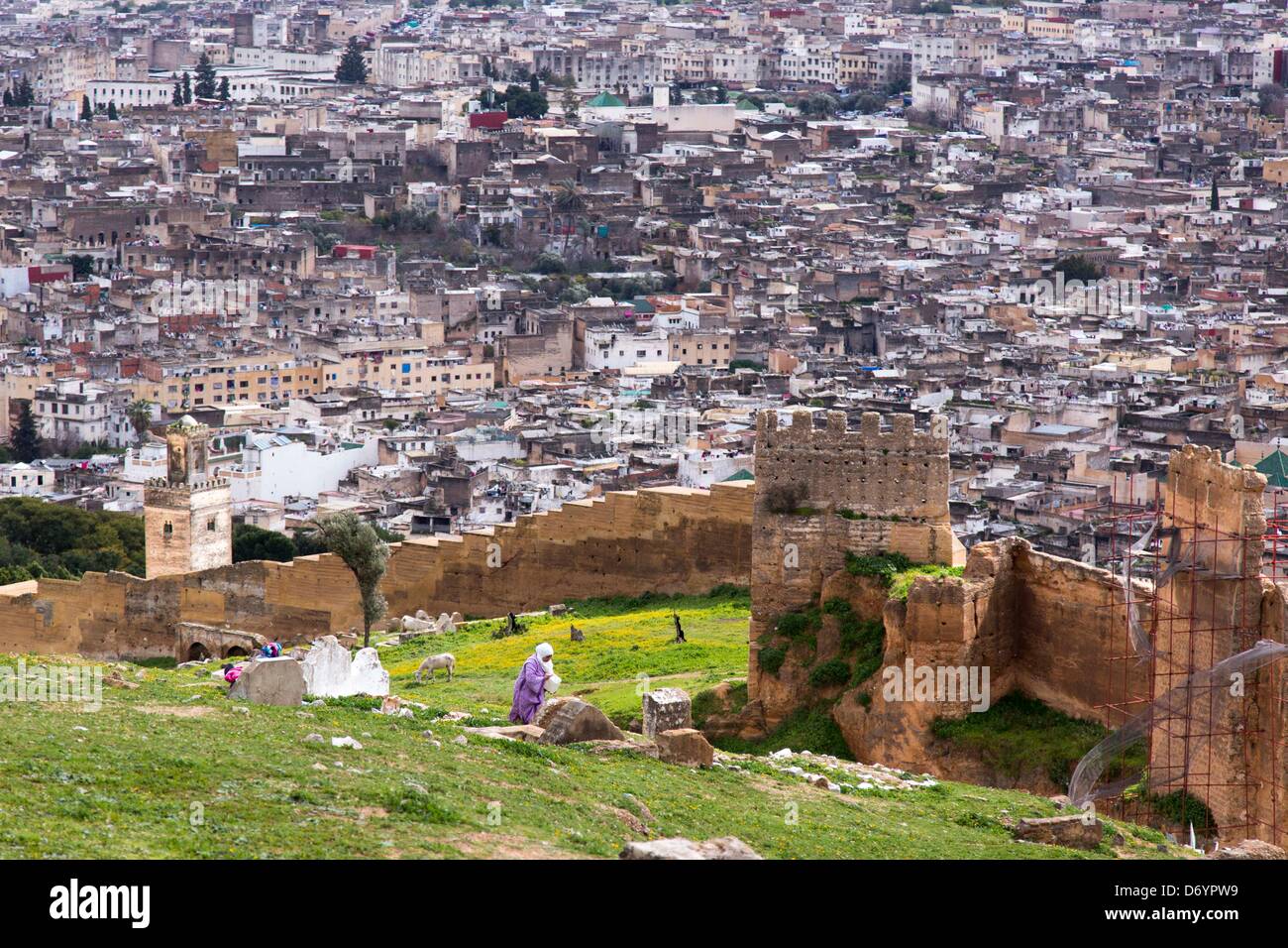 Fez: view over an old graveyard and the old town of Fez, Marocco Stock ...