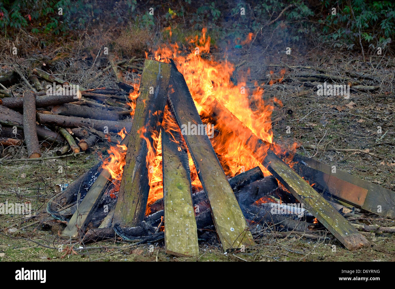 A large outdoor fire made with logs and boards in a clearing Stock ...