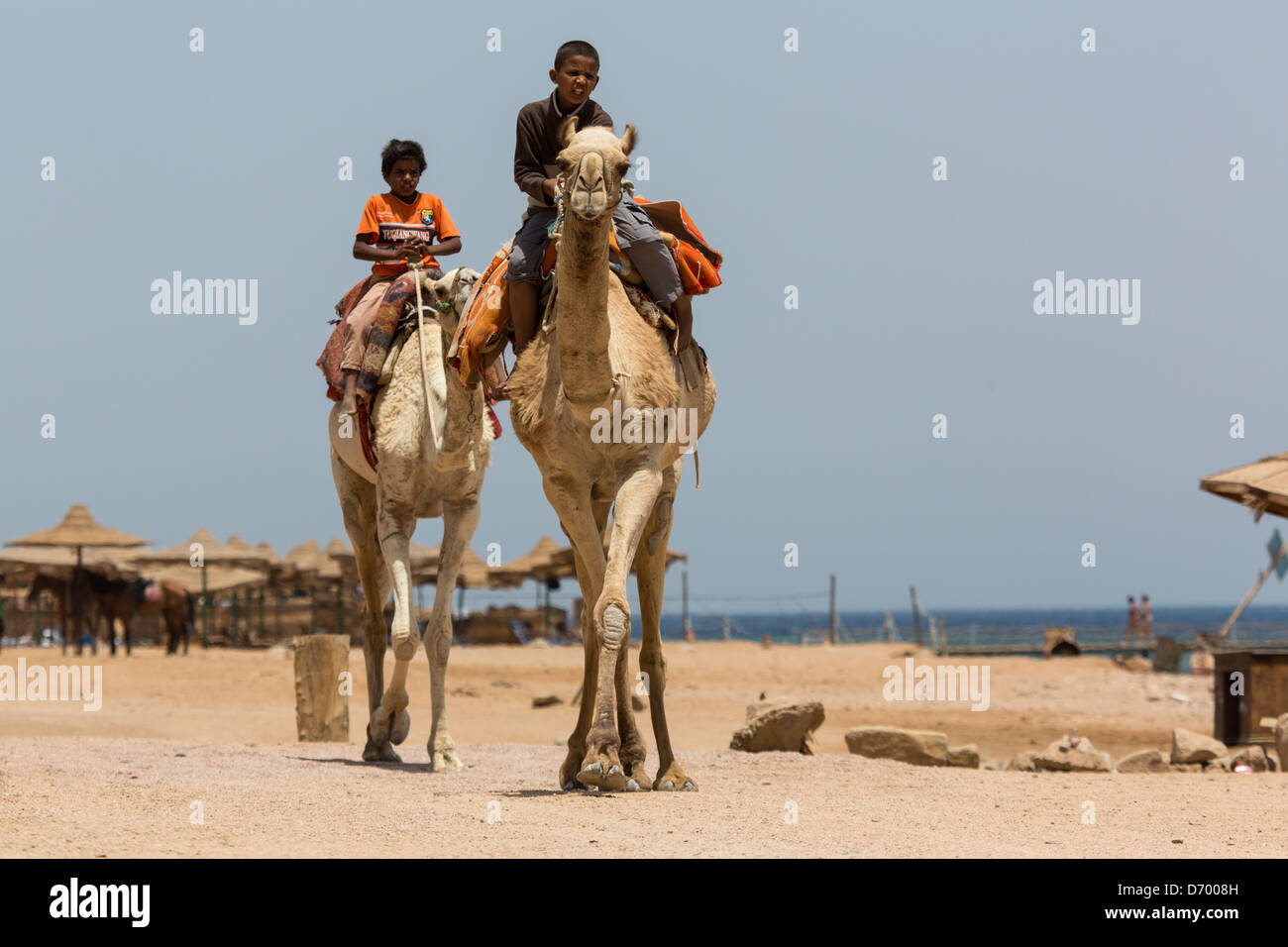 Bedouin children hi-res stock photography and images - Alamy