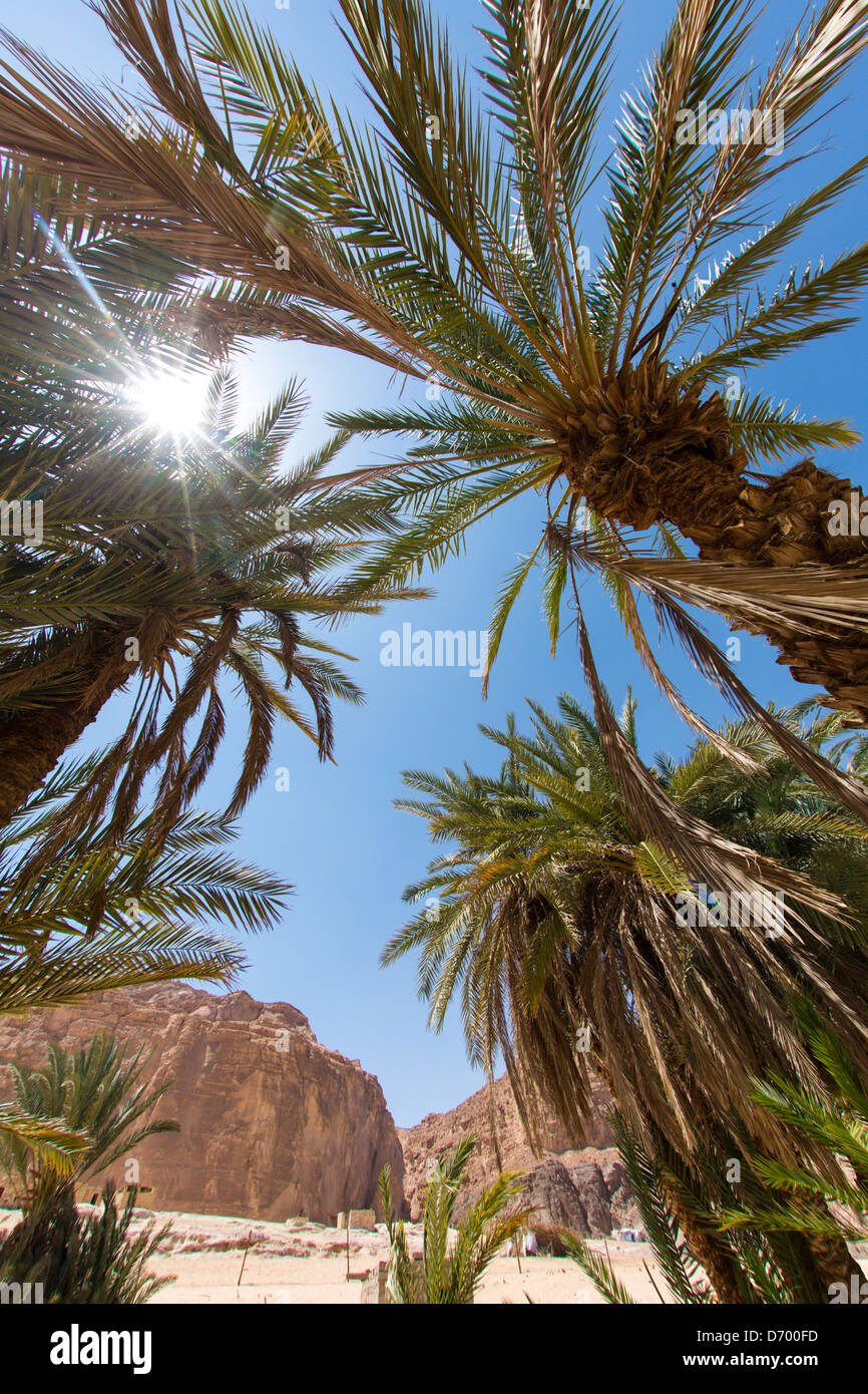 Family holiday destination: Dahab, near the Red Sea in Egypt (Sinai ...