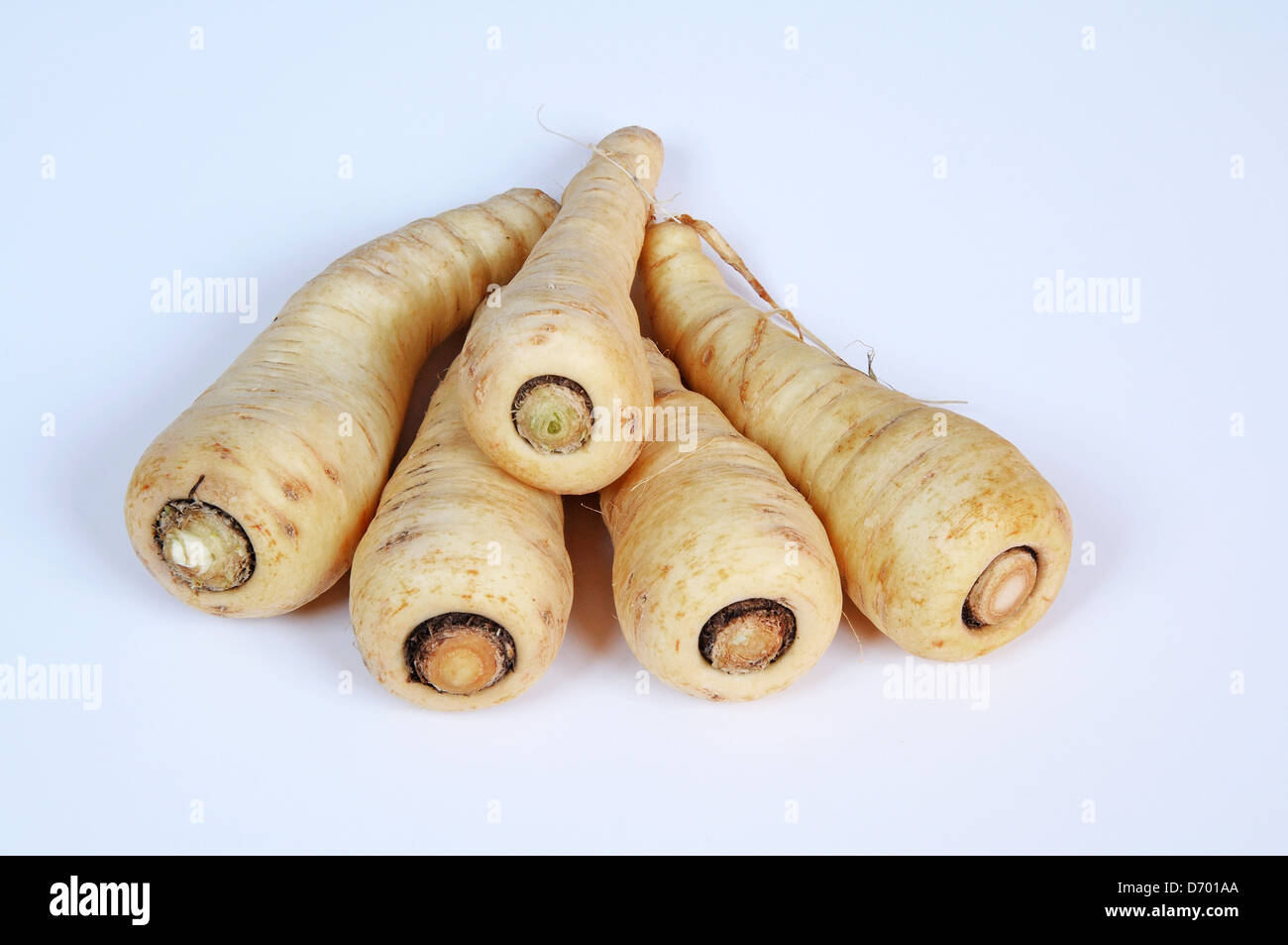Five raw parsnips against a white background Stock Photo - Alamy