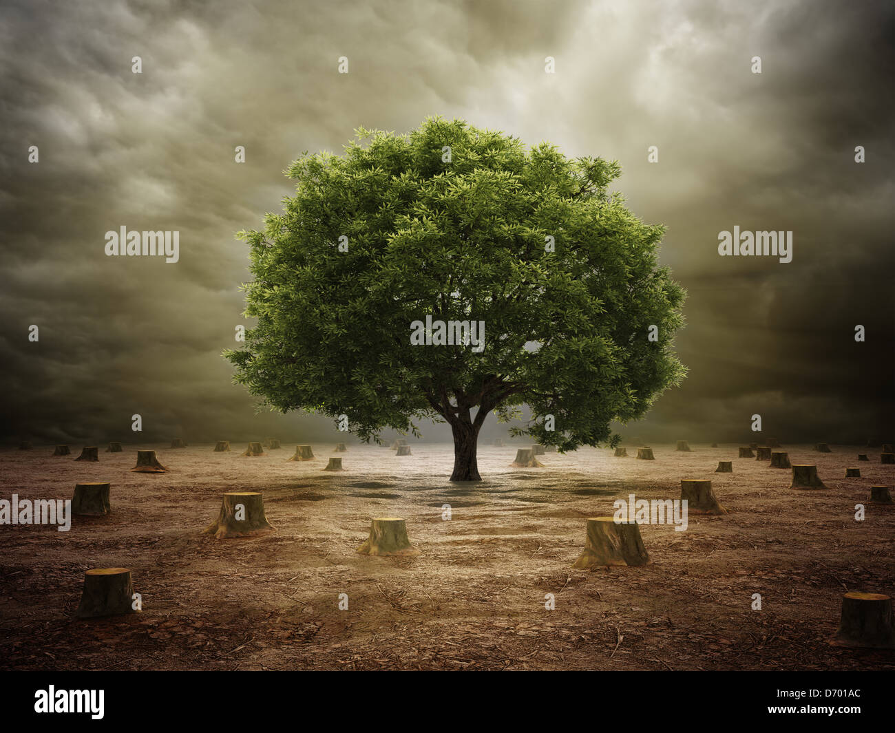 A single tree left in a deforested landscape Stock Photo - Alamy