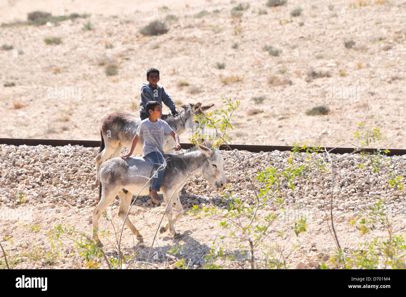 Bedouin boys riding donkeys Photographed in the Negev Desert, Israel ...
