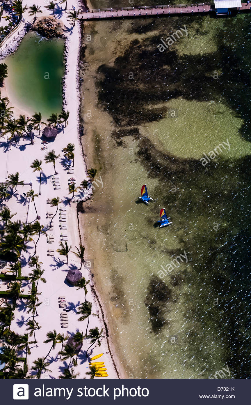 Cheeca Lodge High Resolution Stock Photography and Images - Alamy