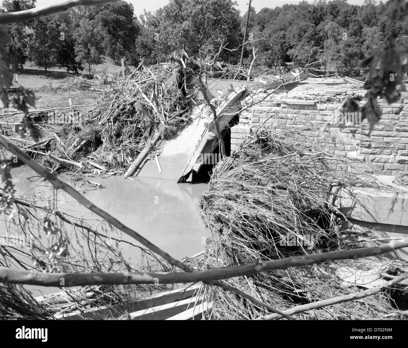 Rockfish river hi-res stock photography and images - Alamy