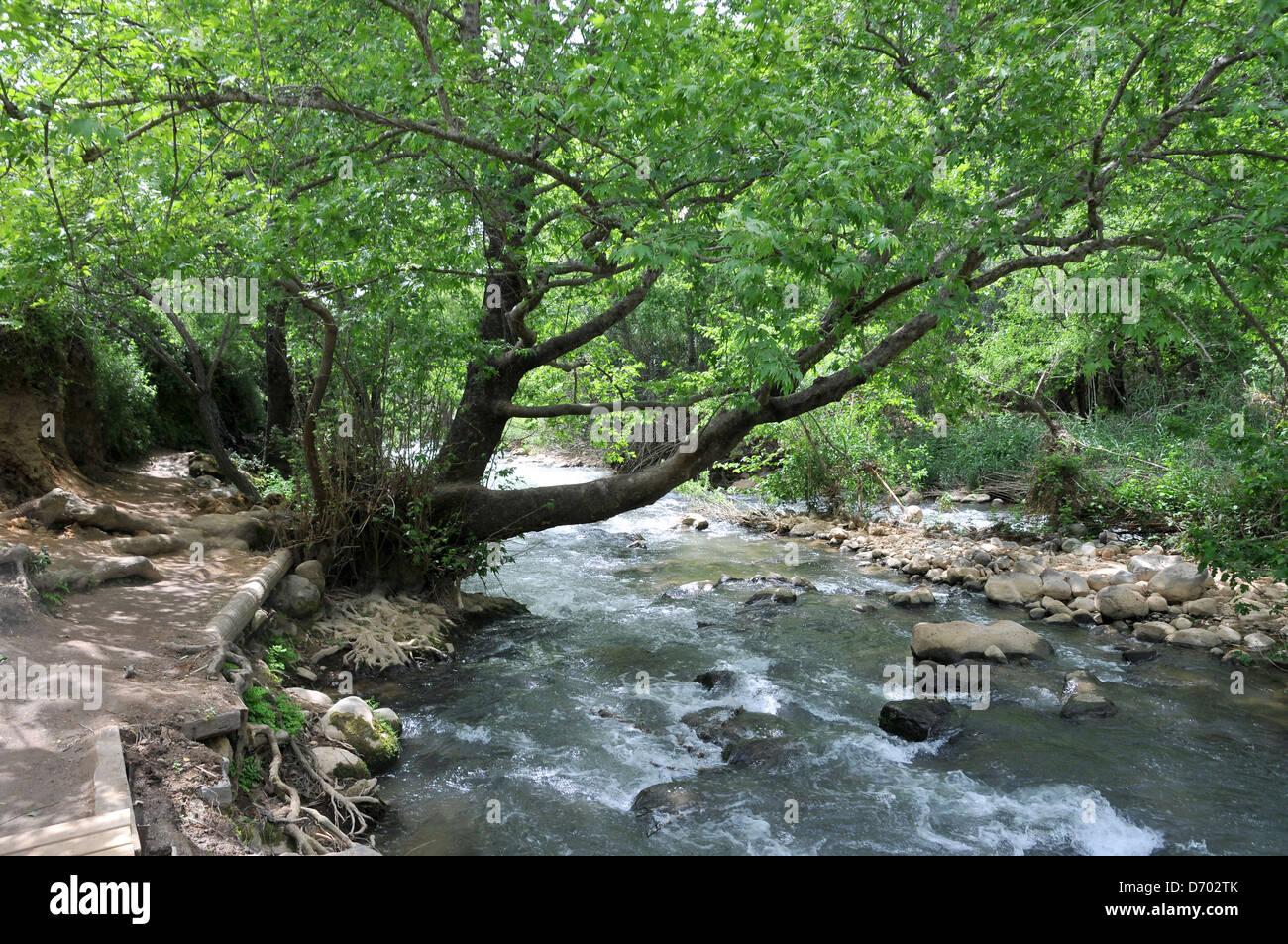 Israel, Upper Galilee, Hazbani River (AKA Snir River) a tributary of ...