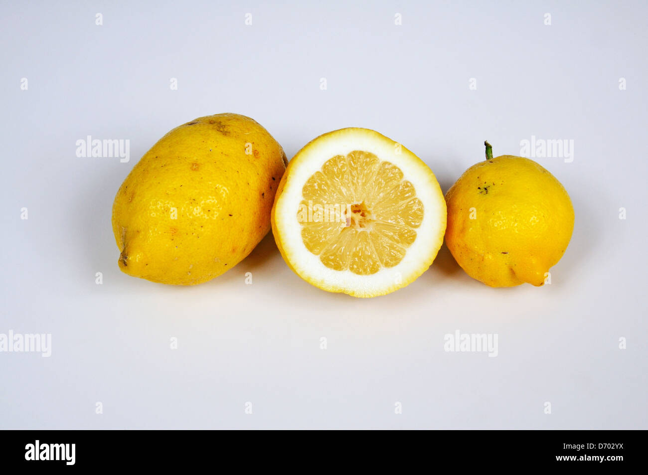 Three lemons against a plain background Stock Photo - Alamy