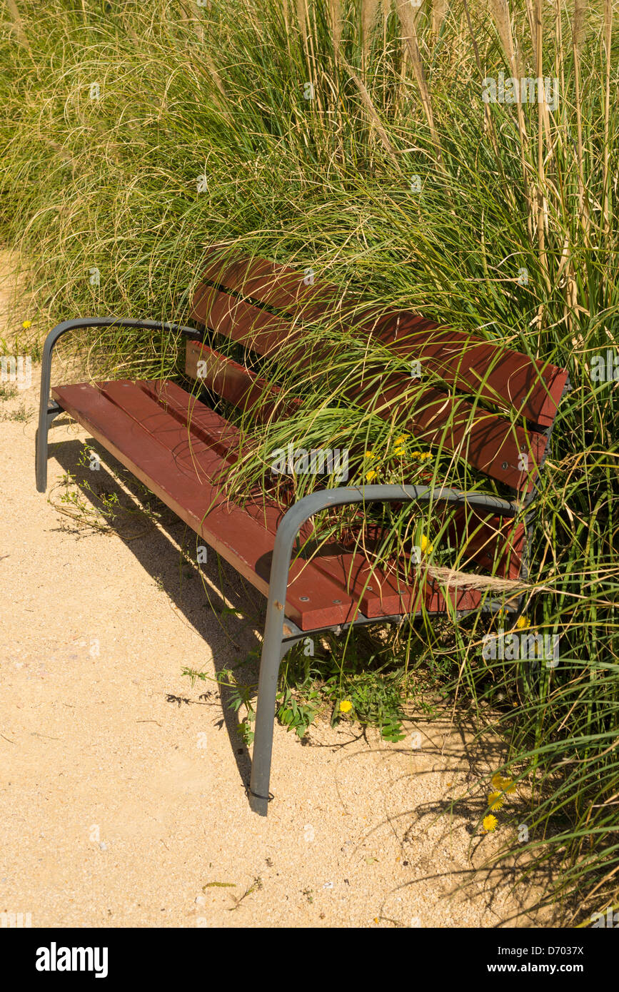 Decay sympolized with an overgrown park bench Stock Photo - Alamy