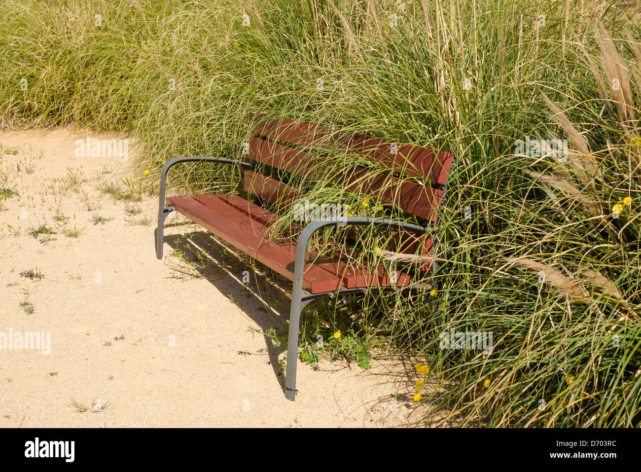 Overgrown park bench, a concept of neglection Stock Photo - Alamy
