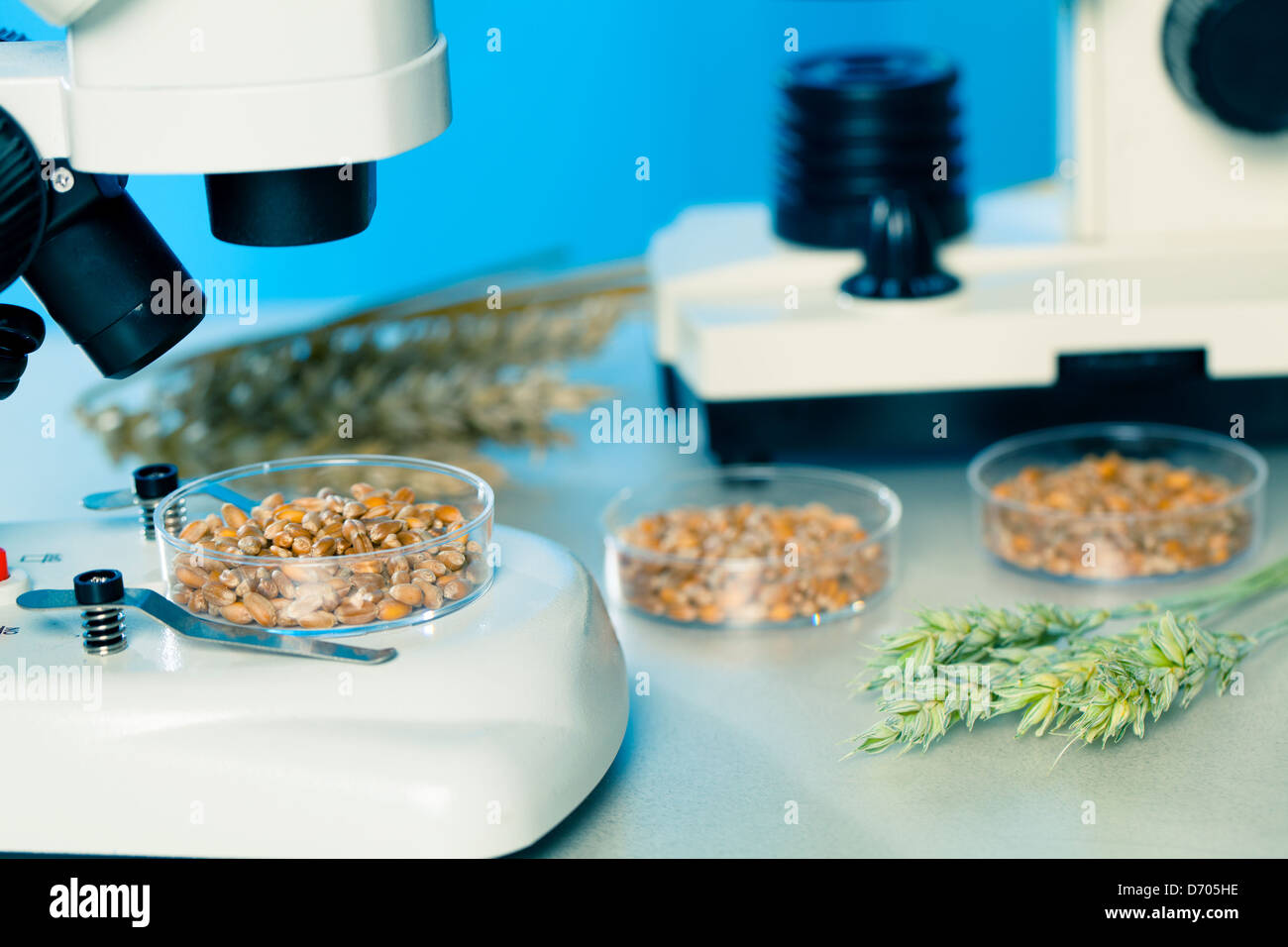 Food testing laboratory hi-res stock photography and images - Alamy