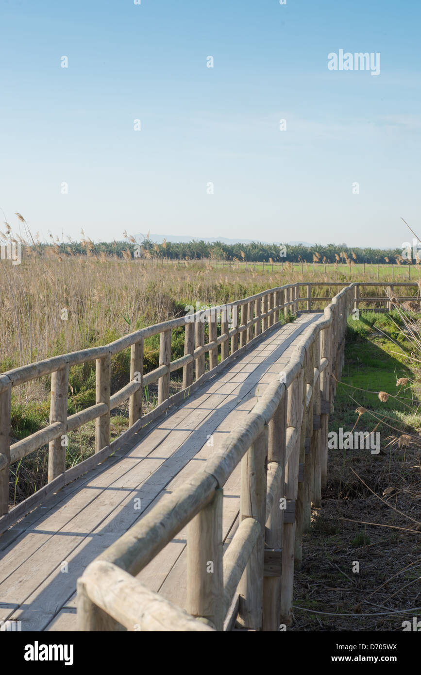 Wooden catwalk crossing marshy land in a natural park Stock Photo - Alamy